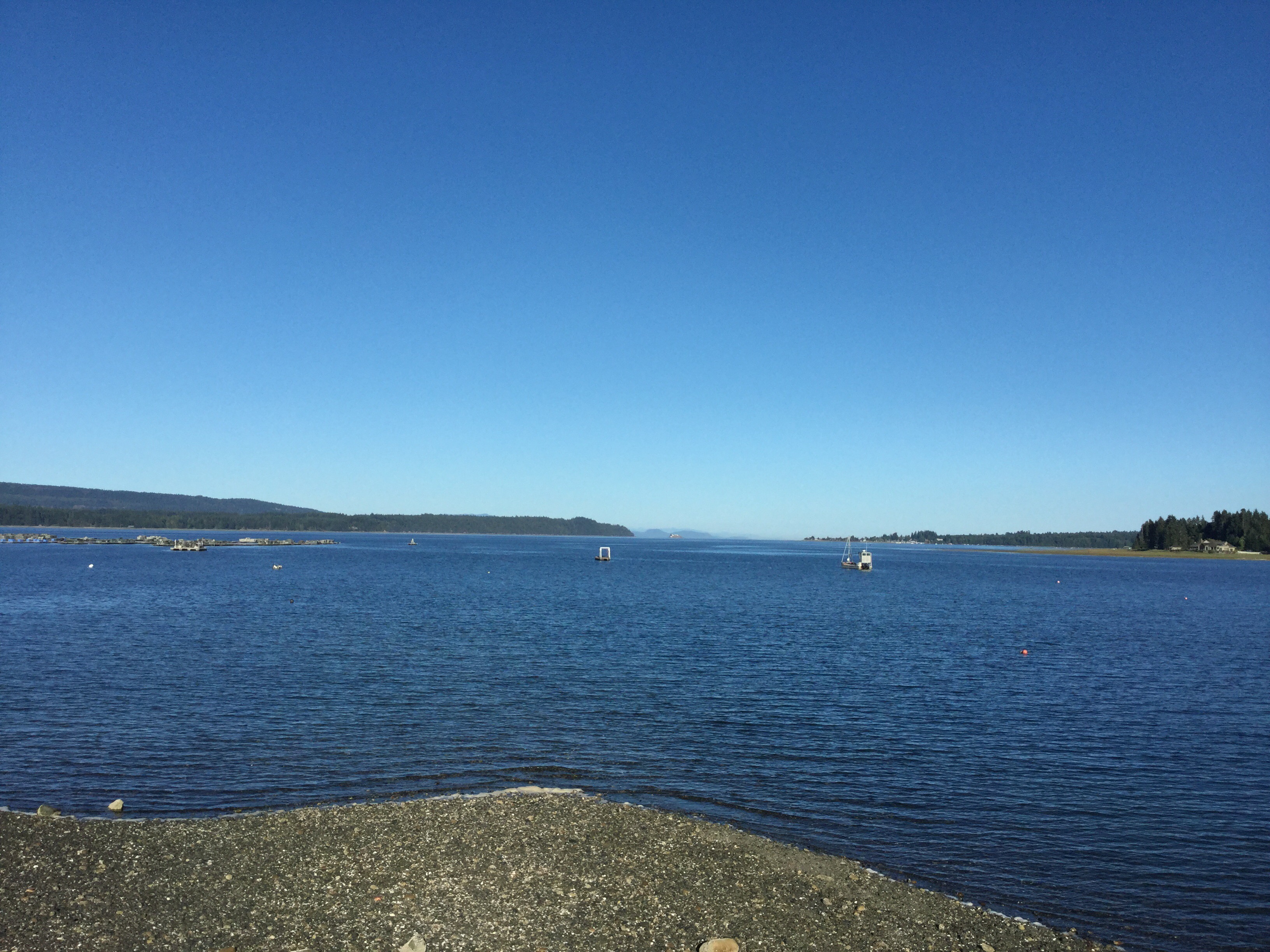 Fanny Bay – Susan Doram